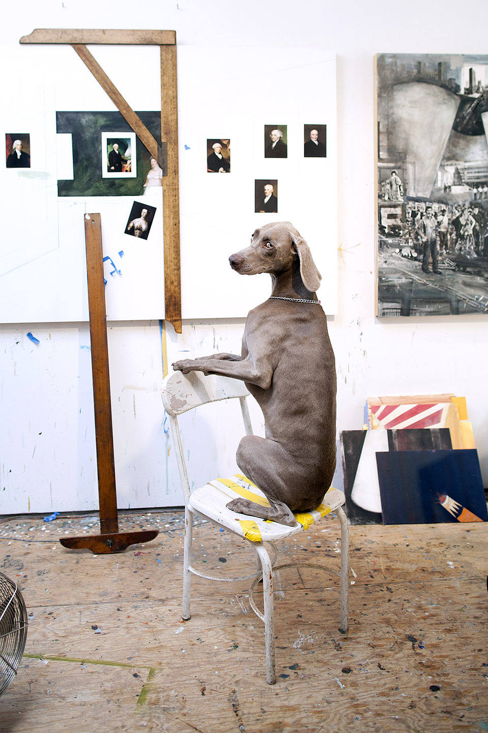 BRIAN HARKIN — Portraits